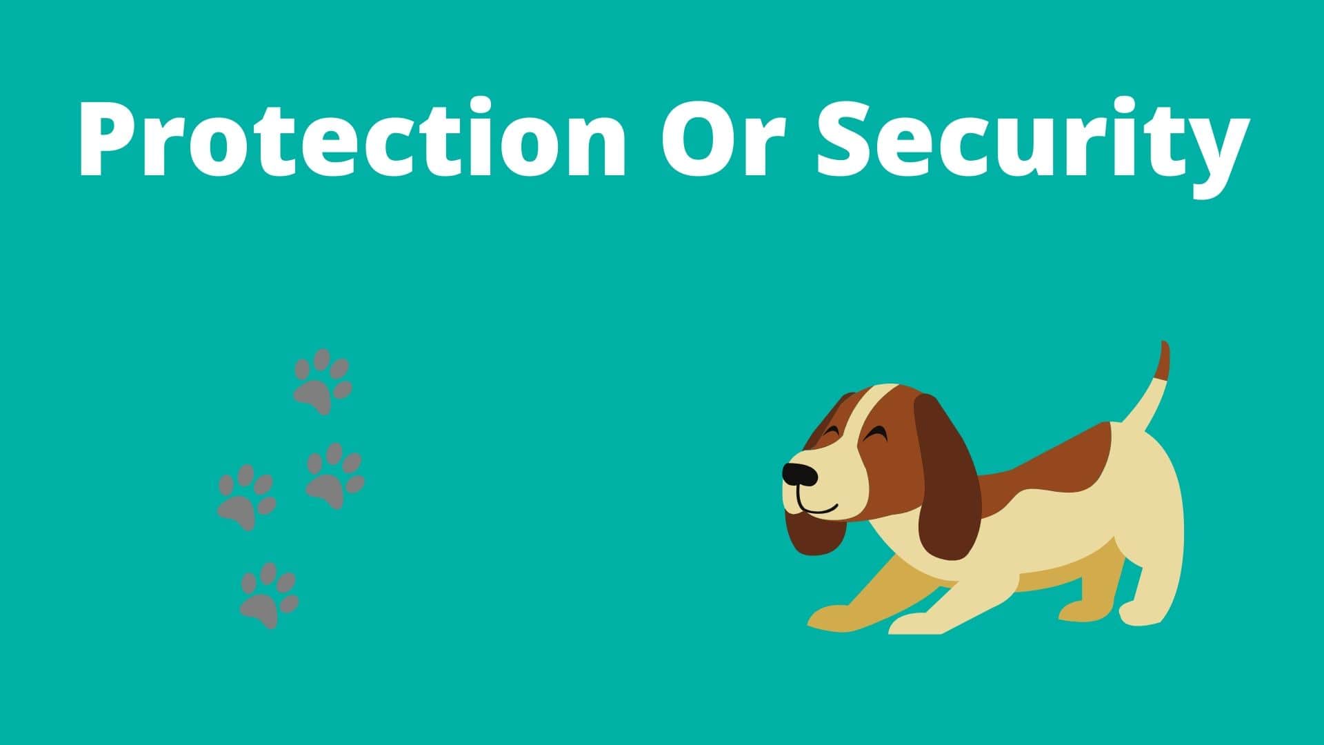 6 Facts About A Dog Walker Dog Walking Business